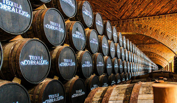 Viaje a Irapuato y Celaya desde CDMX